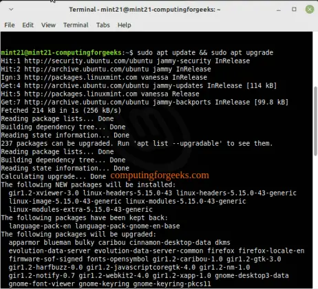 Install Linux Mint 21 - Step by Step With Screenshots | ComputingForGeeks