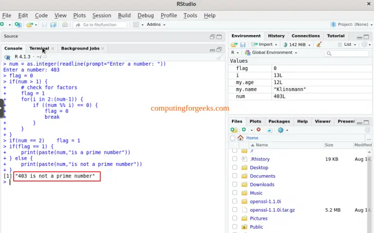 Install R and Rstudio on Rocky Linux 9 / AlmaLinux 9 | ComputingForGeeks