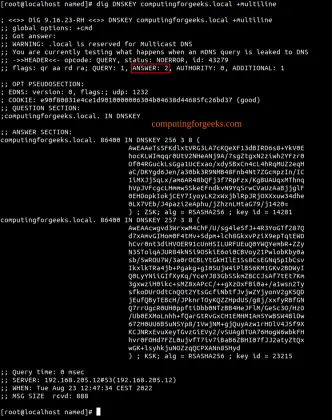 How To Secure BIND DNS Server With DNSSec Keys | ComputingForGeeks