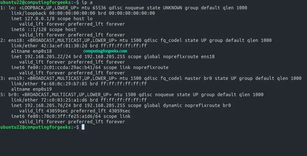 Configuring Linux Bridge Vlan Interface Using Netplan On Ubuntu Computingforgeeks 9385