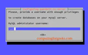 Configure Passbolt Password Manager on Linux | ComputingForGeeks
