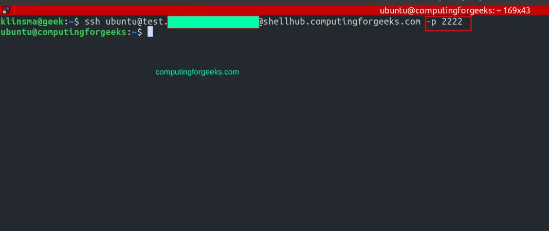 Configure Centralized Ssh For Linux Systems Using Shellhub