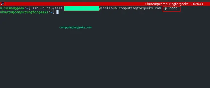 Configure Centralized SSH for Linux systems using ShellHub | ComputingForGeeks