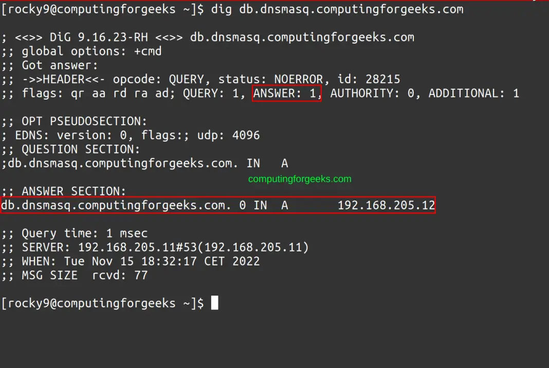 How To Run And Use Dnsmasq In Docker Container Computingforgeeks