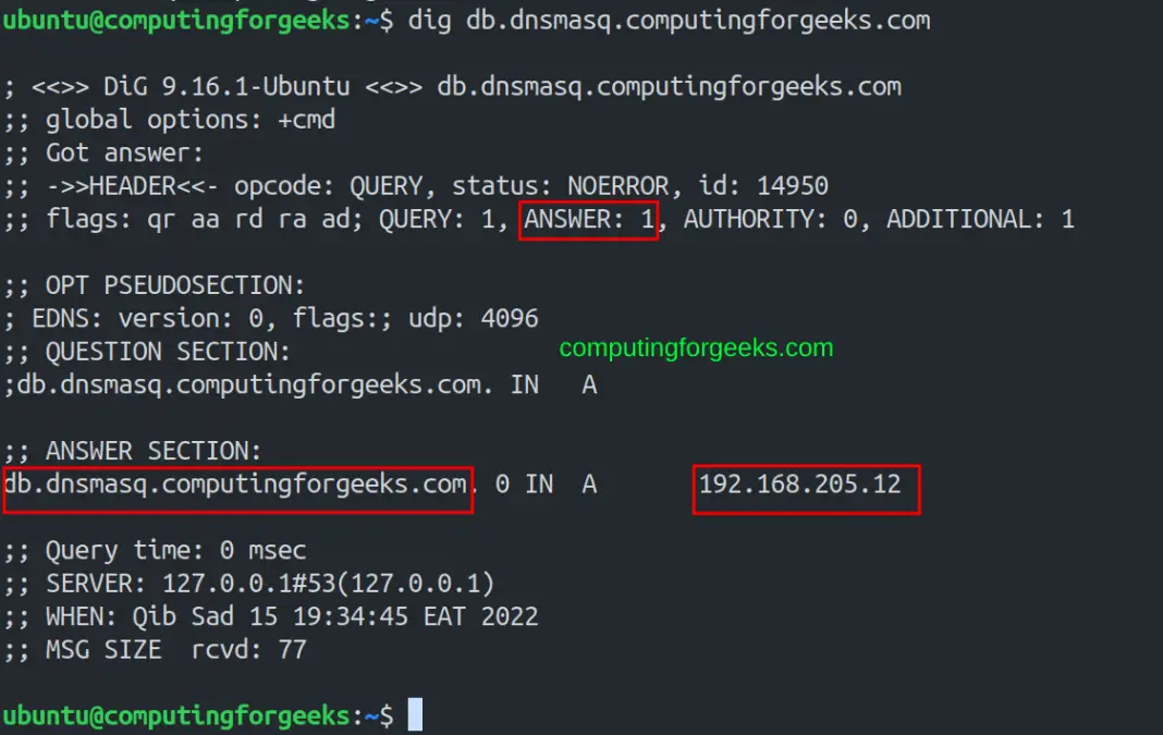 How To Run and Use Dnsmasq in Docker Container | ComputingForGeeks