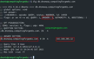 How To Run and Use Dnsmasq in Docker Container | ComputingForGeeks