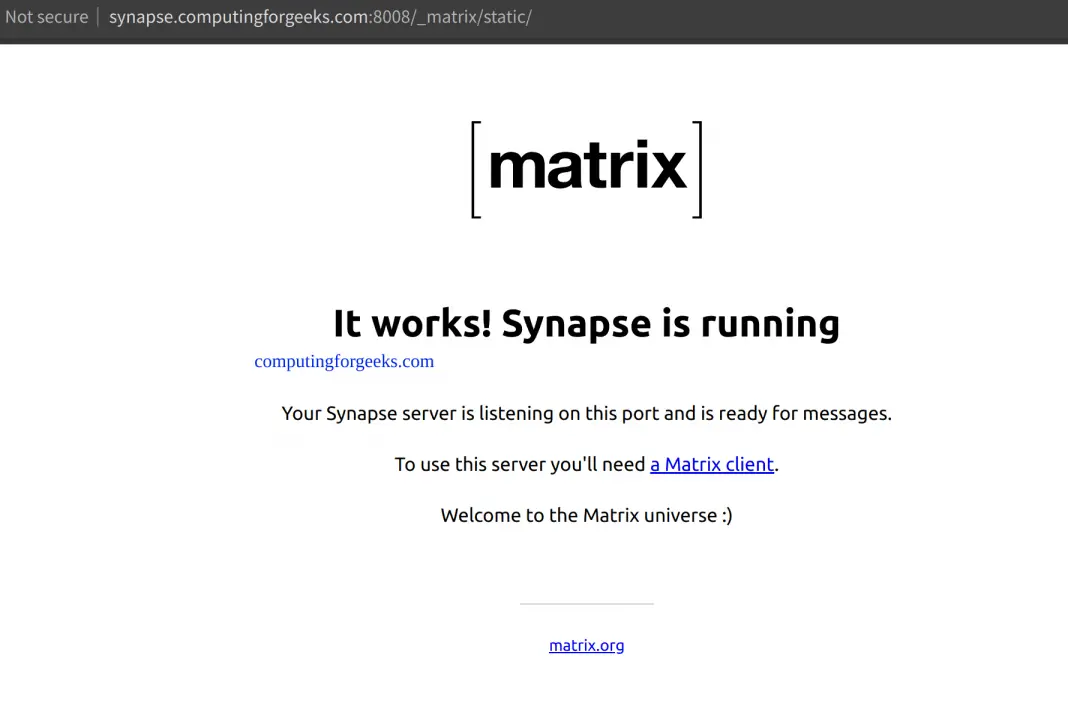 Run Synapse Matrix homeserver in Docker Containers | ComputingForGeeks