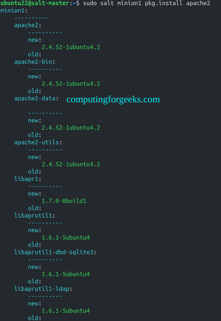 How To Install Salt Master And Minion On Ubuntu 22 04 Computingforgeeks