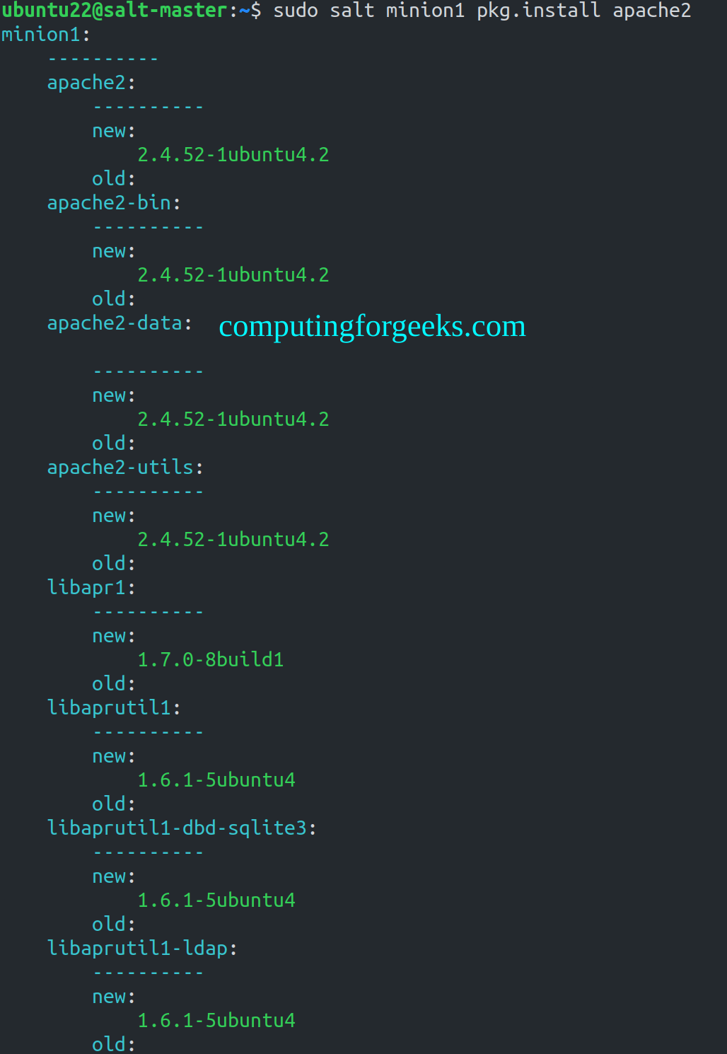 How To Install Salt master and minion on Ubuntu 22.04 | ComputingForGeeks