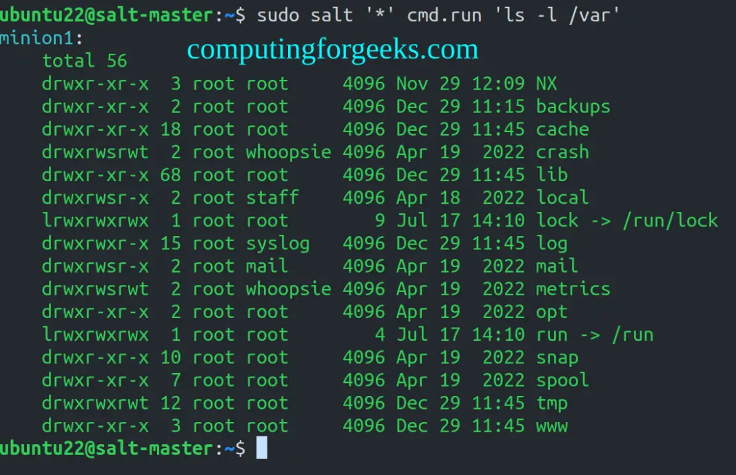 How To Install Salt master and minion on Ubuntu 22.04 | ComputingForGeeks