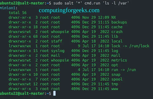 How To Install Salt master and minion on Ubuntu 22.04 | ComputingForGeeks