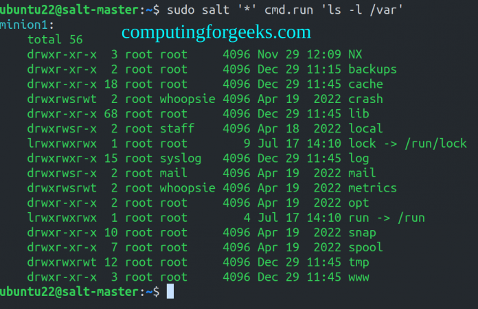 How To Install Salt Master And Minion On Ubuntu 22 04 Computingforgeeks