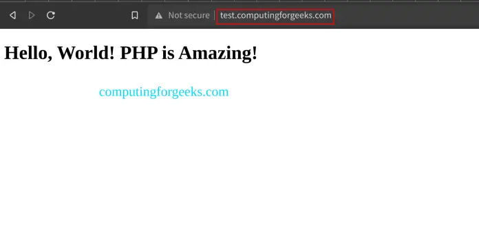 Hosting Php Applications On Linux With Apache Nginx Web Server