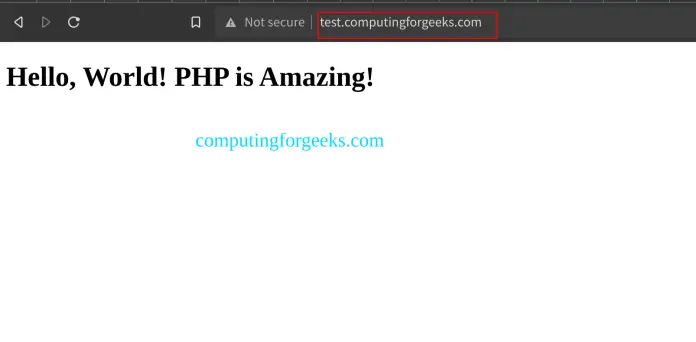 Hosting PHP Applications on Linux with Apache / Nginx Web Server ...