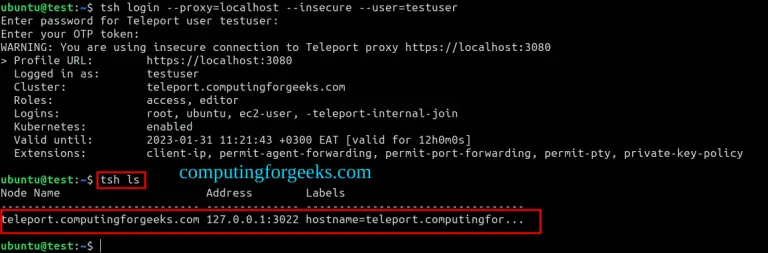 Run Teleport In Docker Container Using Docker Compose Computingforgeeks