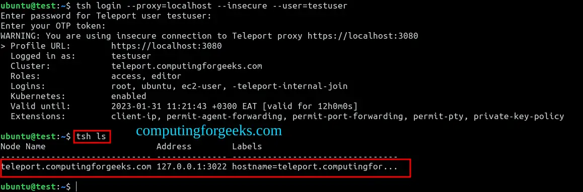 Run Teleport in Docker Container using Docker Compose | ComputingForGeeks