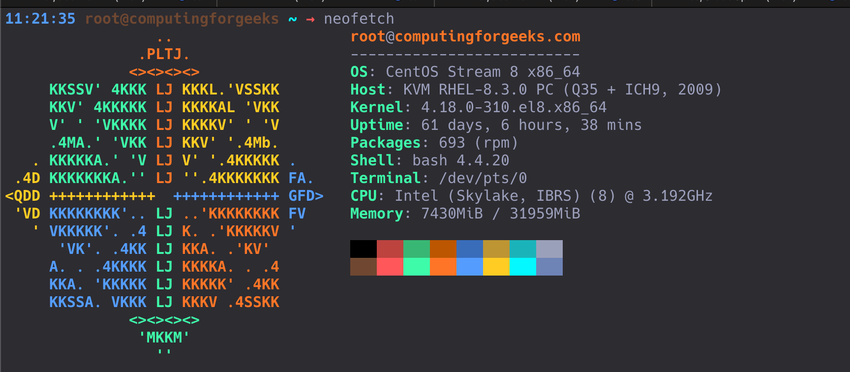 How to get Linux version from the command line | ComputingForGeeks
