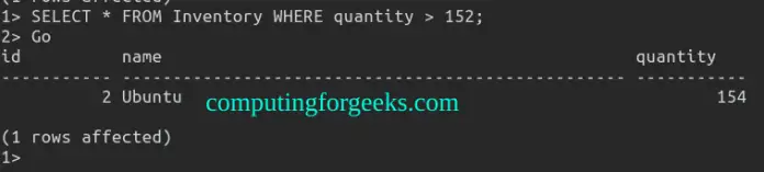 Run Microsoft SQL Server 2022 in Docker / Podman Container | ComputingForGeeks