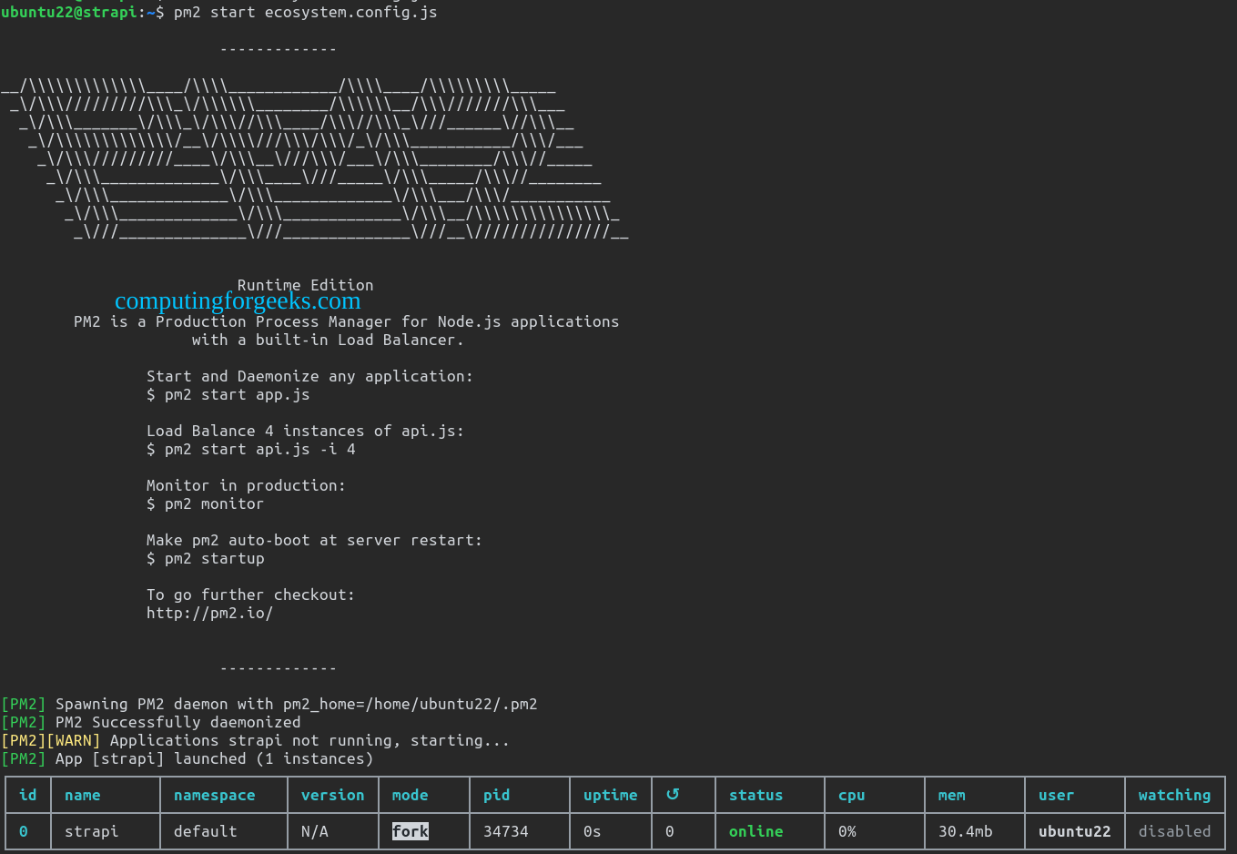 Deploy Strapi App With SEO Plugin on Ubuntu 22.04 | ComputingForGeeks
