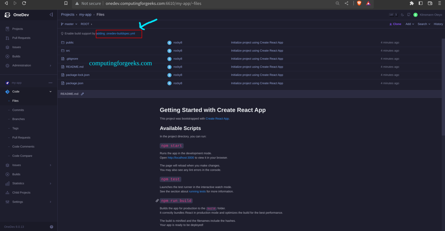 Install And Use Onedev Self Hosted Git Server With Kanban And Cicd