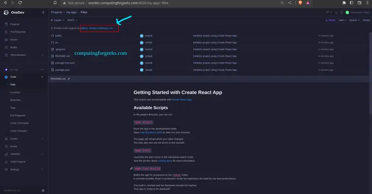 Install and Use OneDev - Self-hosted Git Server with Kanban and CI/CD | ComputingForGeeks