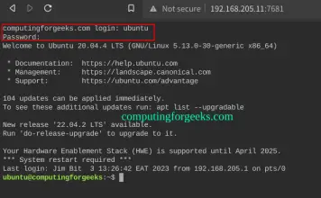 How To Share your Linux Terminal over the Web using ttyd | ComputingForGeeks