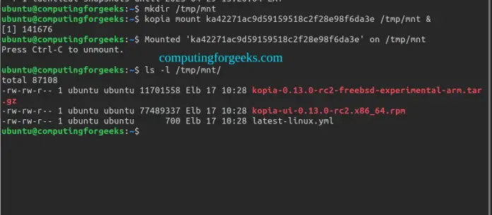 How To Backup Linux And Windows Systems Using Kopia Computingforgeeks