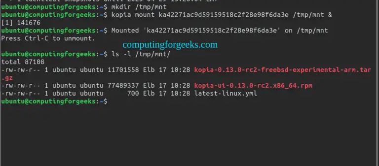 How To Backup Linux and Windows Systems using Kopia | ComputingForGeeks