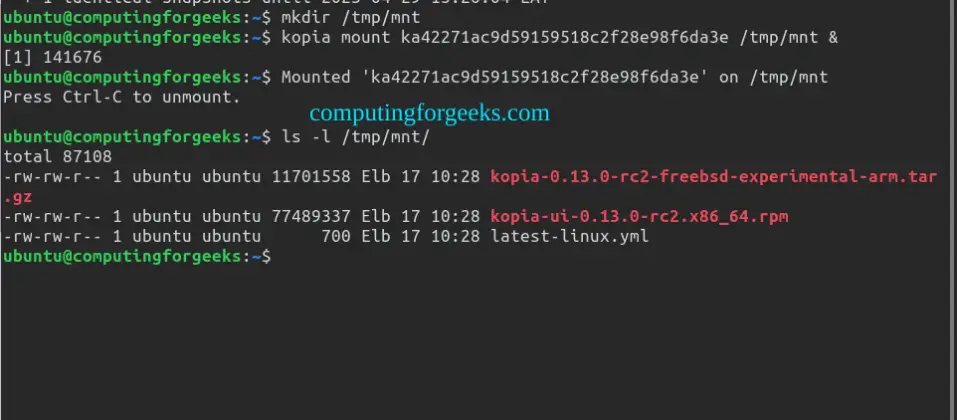 How To Backup Linux and Windows Systems using Kopia | ComputingForGeeks