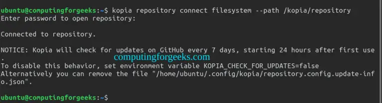 How To Backup Linux And Windows Systems Using Kopia Computingforgeeks