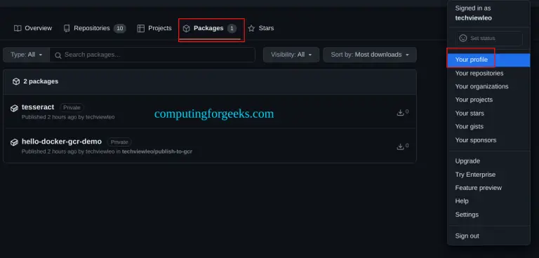 Configure GitHub Container Registry as your Docker Registry ... Configure GitHub Container Registry as your Docker Registry ...