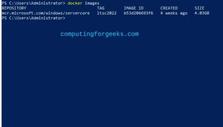 Using Docker And Docker Compose On Windows Server 2022 Computingforgeeks 