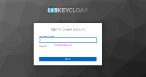 Run Keycloak Server in Docker Containers with Let's Encrypt SSL ...