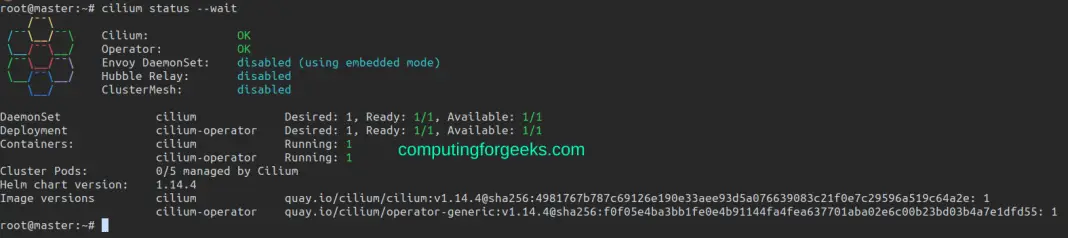 Install and Use Cilium CNI in your Kubernetes Cluster | ComputingForGeeks