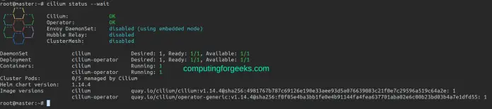 Install And Use Cilium Cni In Your Kubernetes Cluster Computingforgeeks