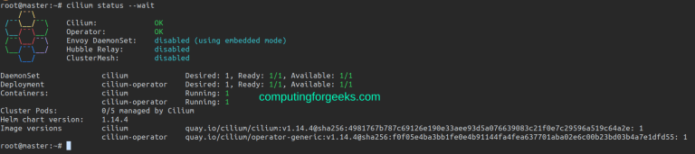 Install and Use Cilium CNI in your Kubernetes Cluster [Guide]