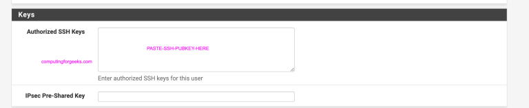 How To Install Tailscale Client on pfSense | ComputingForGeeks