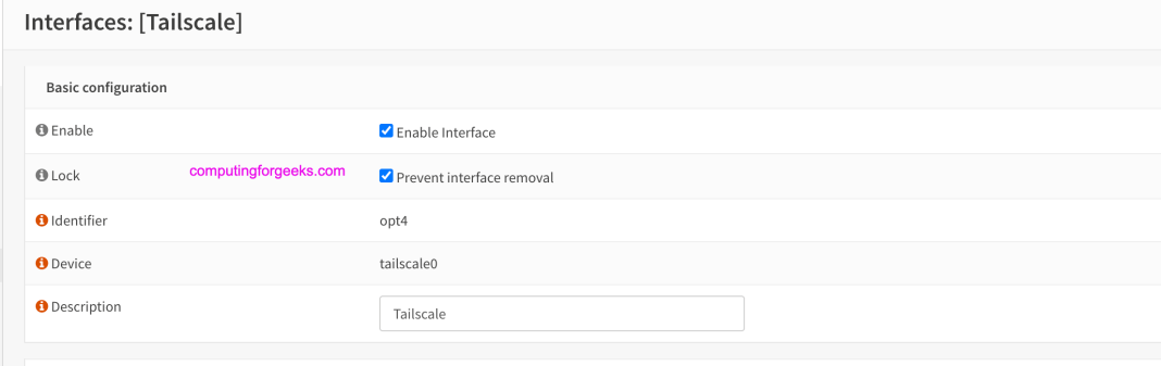 Install and Configure Tailscale Client on OPNsense | ComputingForGeeks