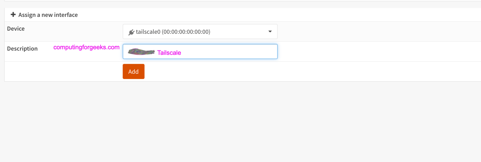 Install and Configure Tailscale Client on OPNsense | ComputingForGeeks
