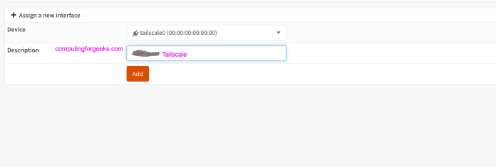 Install and Configure Tailscale Client on OPNsense | ComputingForGeeks