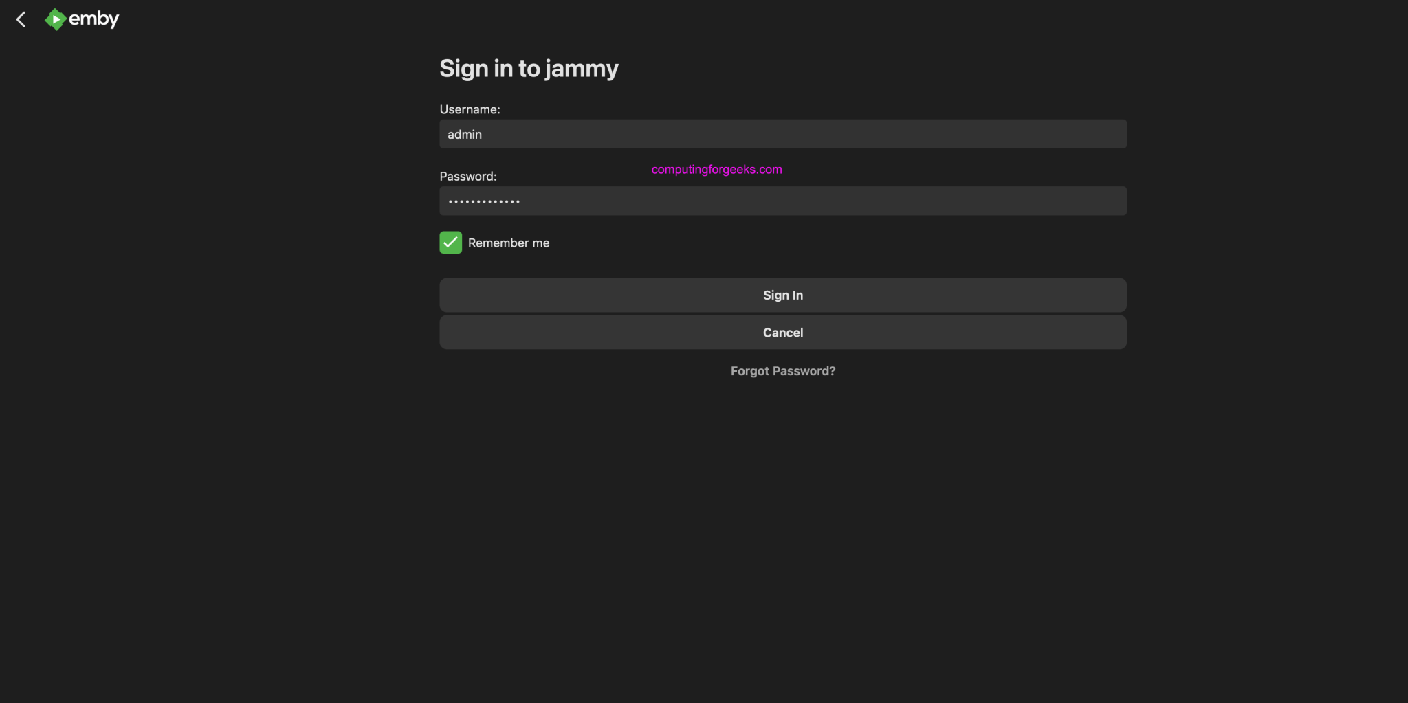 How To Run Emby Media Server in Docker Container | ComputingForGeeks