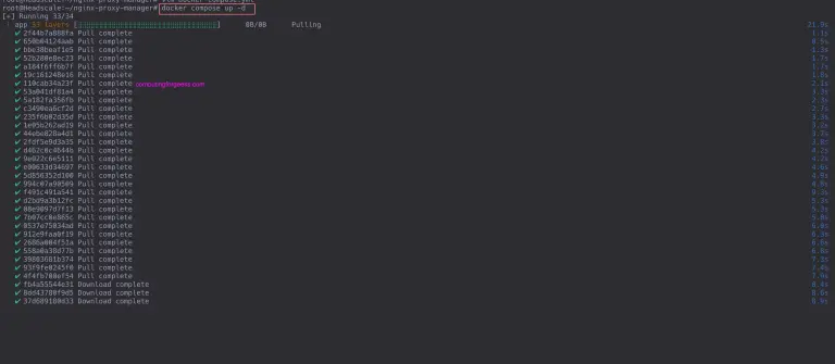 How To Run Nginx Proxy Manager in Docker Container | ComputingForGeeks