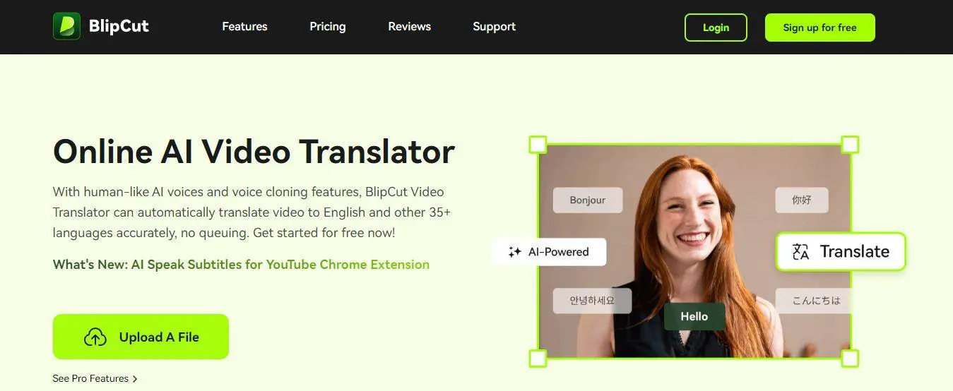 How to Translate a Video into Any Other Languages in 2024 ...