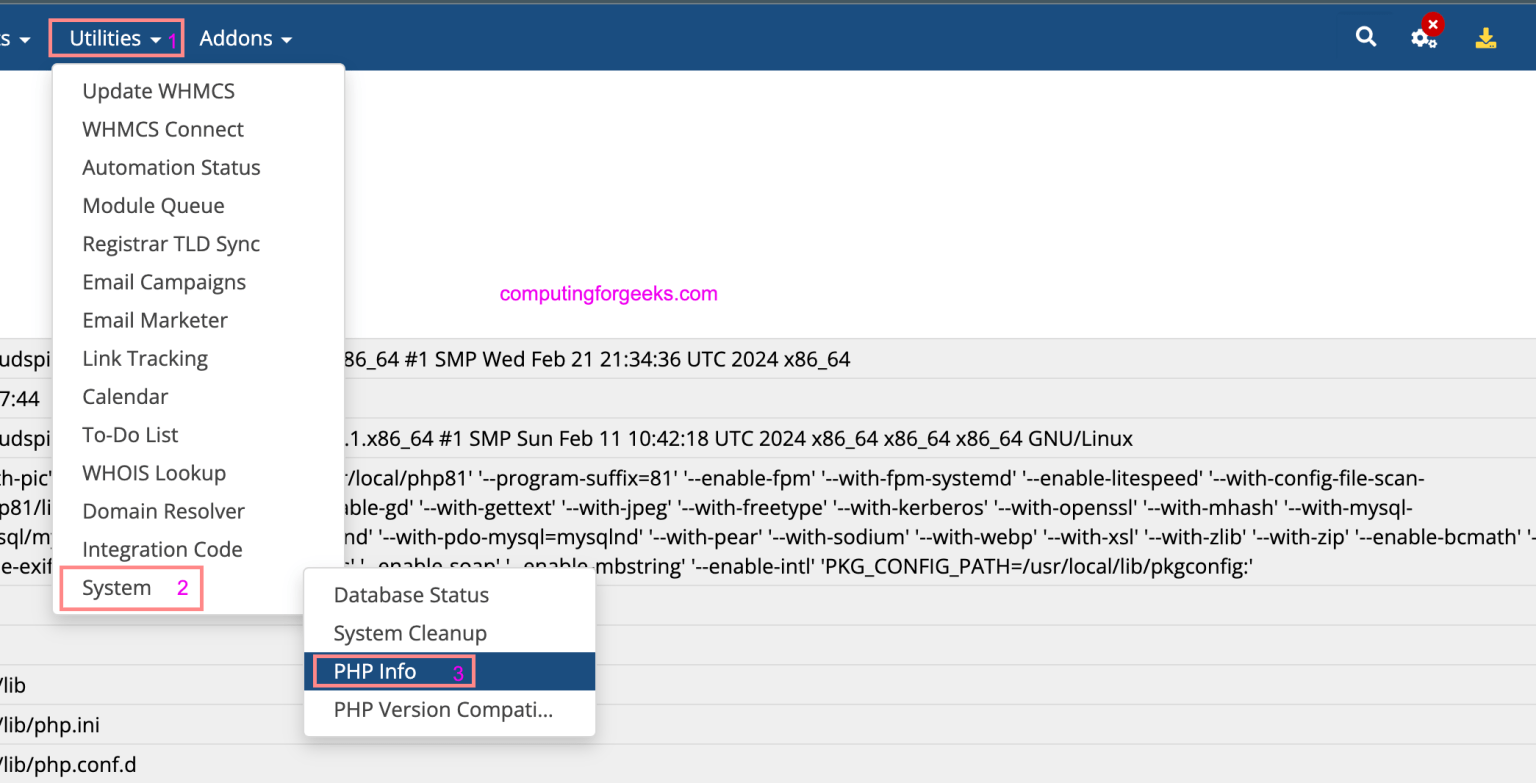 Install and Configure DirectAdmin Extended For WHMCS | ComputingForGeeks