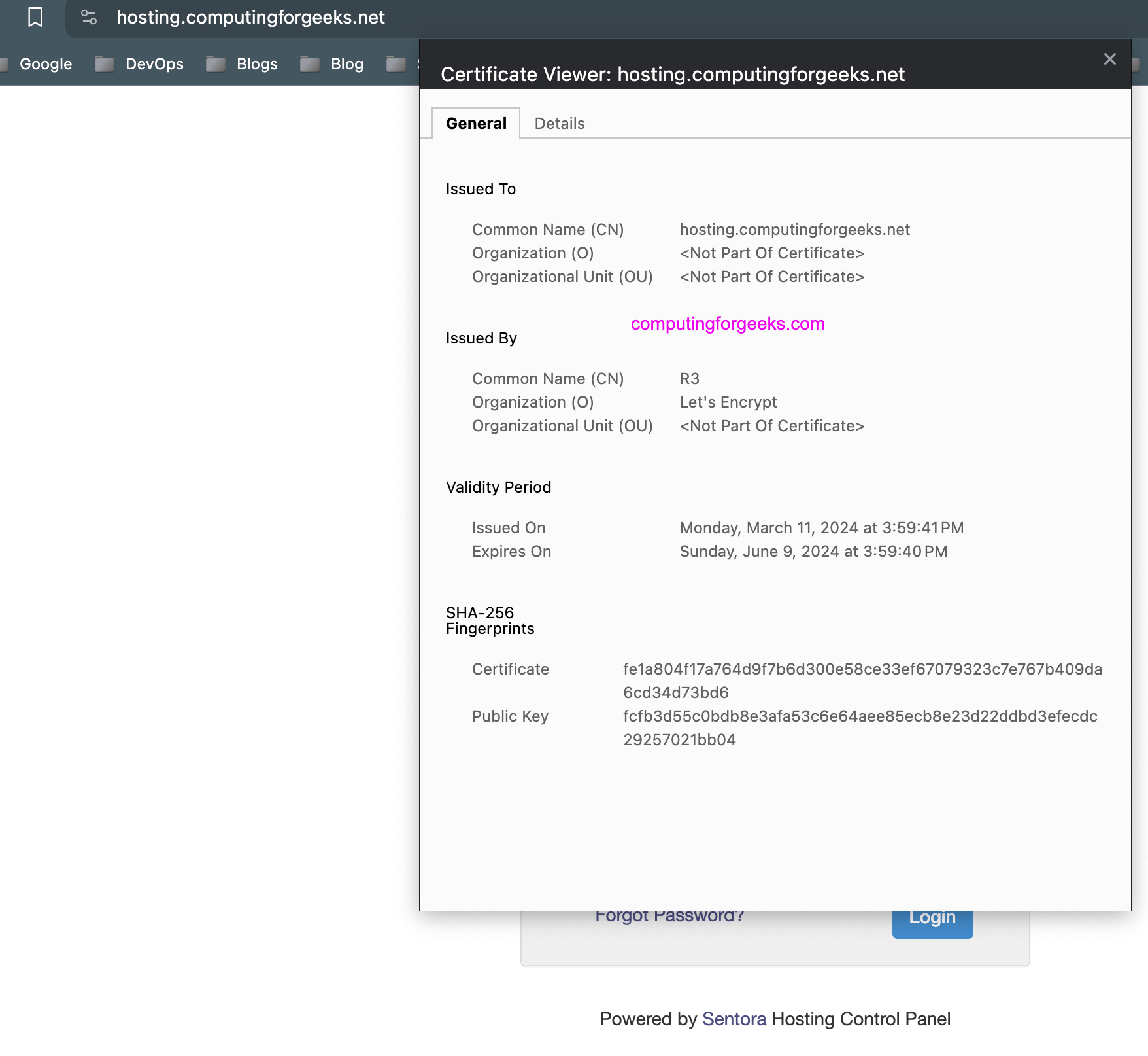 Install Sentora Web Hosting on Ubuntu 22.04|20.04|18.04 | ComputingForGeeks