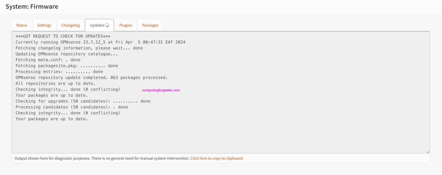 How To Update OPNsense From Web UI or Terminal Console | ComputingForGeeks