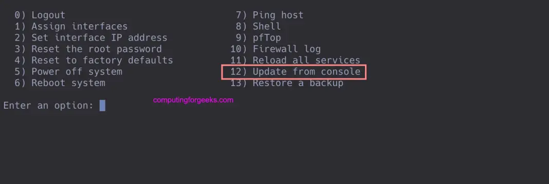 How To Update OPNsense From Web UI or Terminal Console | ComputingForGeeks