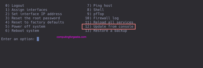 How To Update OPNsense From Web UI or Terminal Console | ComputingForGeeks