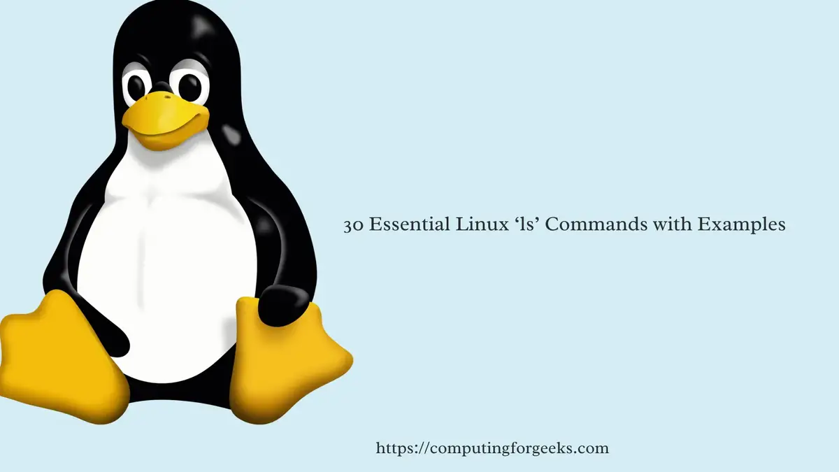 30 Essential Linux ls Commands with Examples | ComputingForGeeks