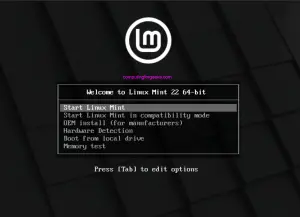 How To Install Linux Mint 22 (Wilma) - Step by Step | ComputingForGeeks